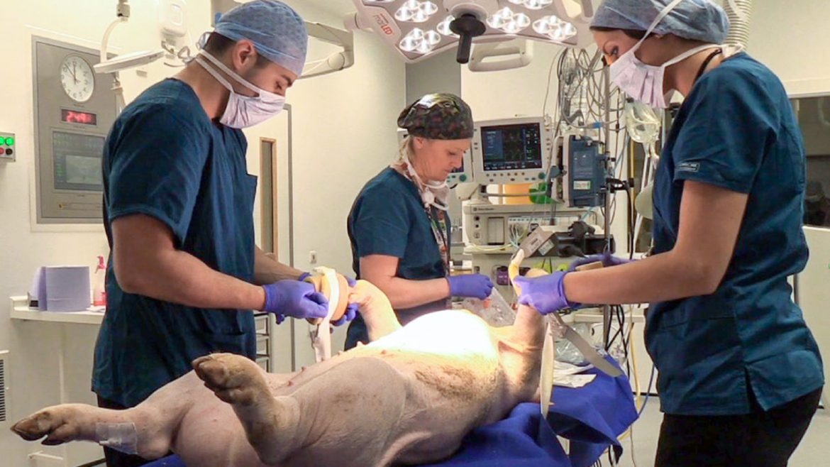 Global R&D trends in Surgical & Intervention Simulation | I3PT Parc Taulí